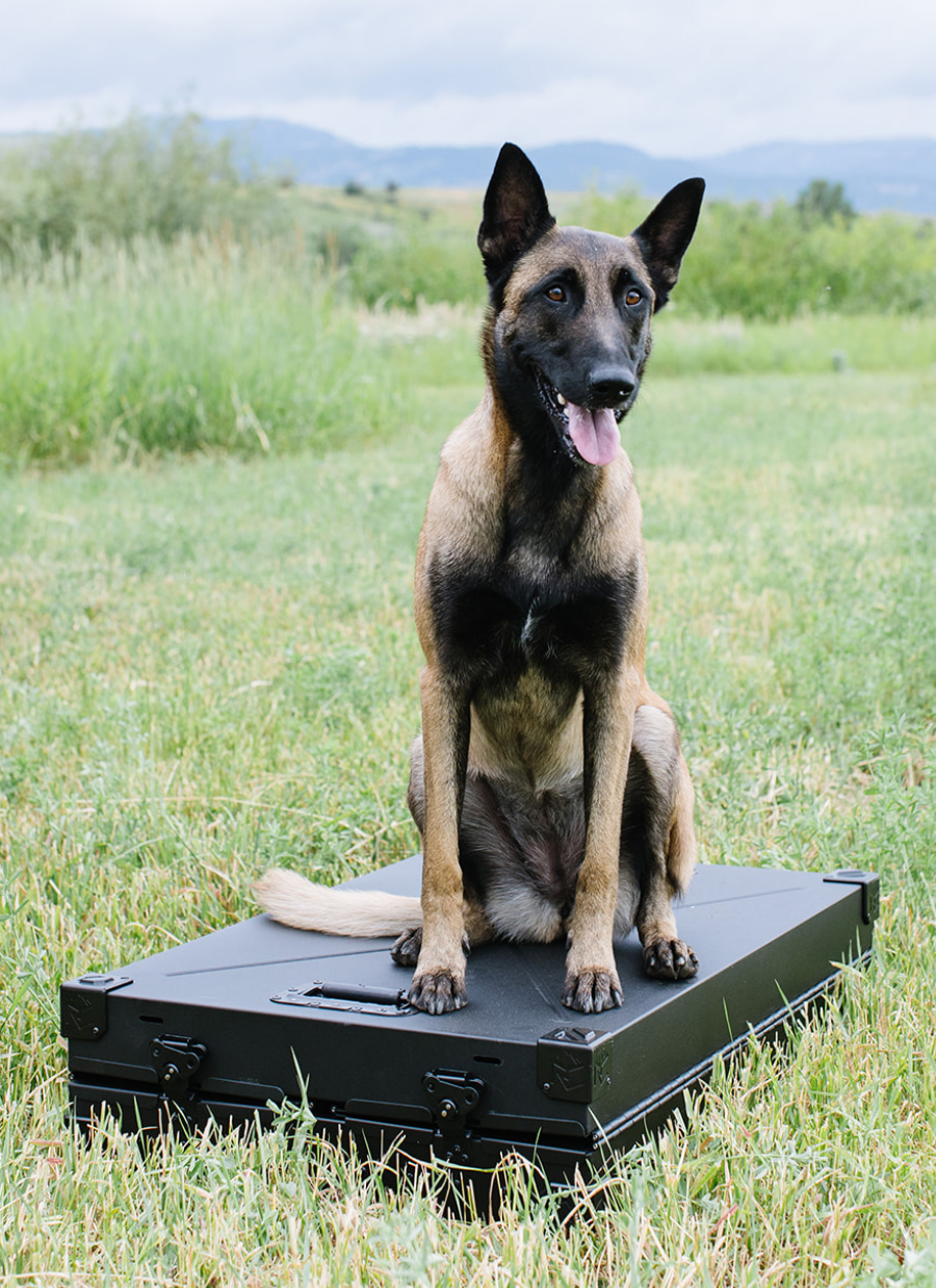 Collapsible Crates – Rock Creek Crates