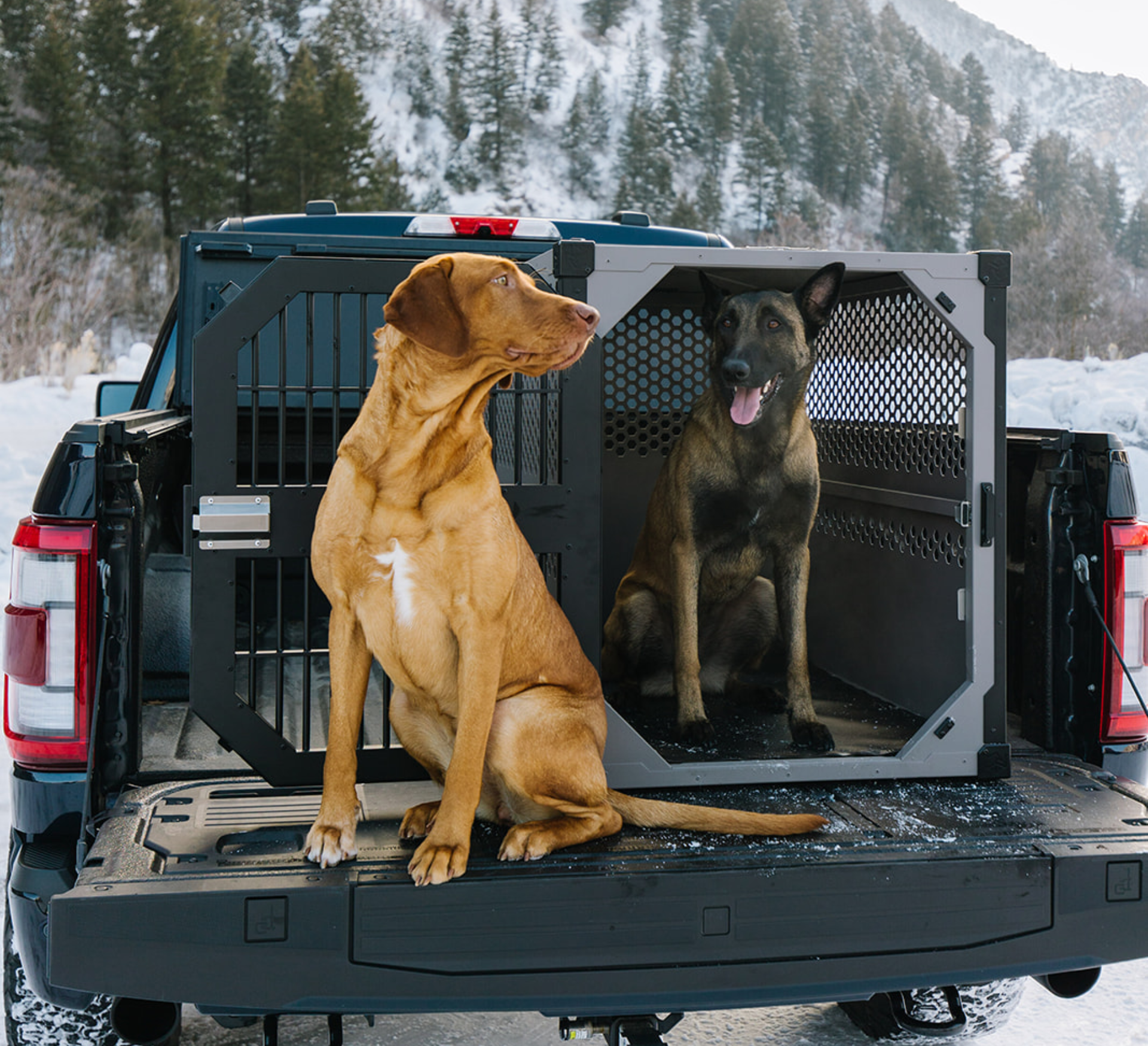 Crash Tested Dog Crates – Rock Creek Crates