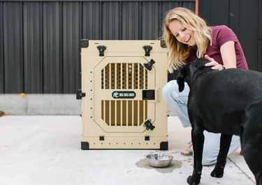 Hunting Dog Crates | Hunting Dog Crates For Trucks – Rock Creek Crates